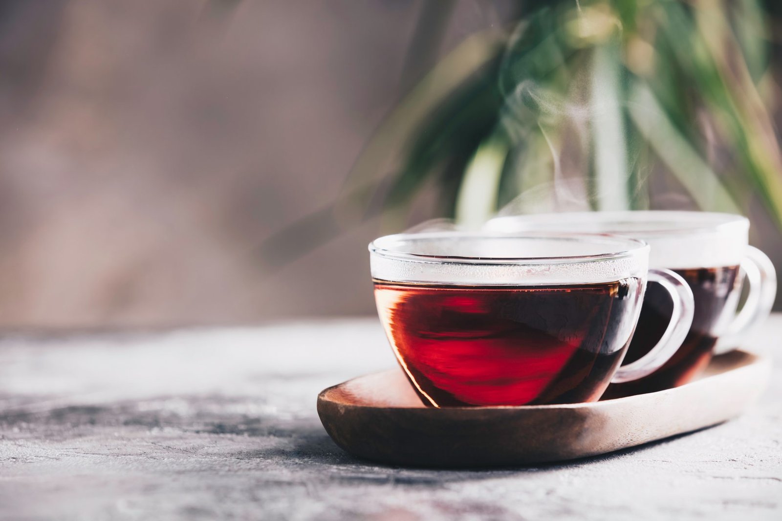 5 Potential Health Benefits of Guayusa Tea - Nutrient Journal